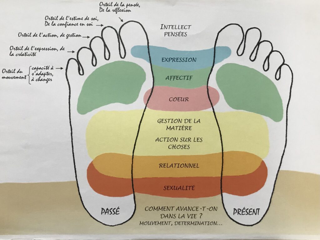 Réflexologie, pied, douleurs... Pourquoi? - reflexologie-by-alexandra.com